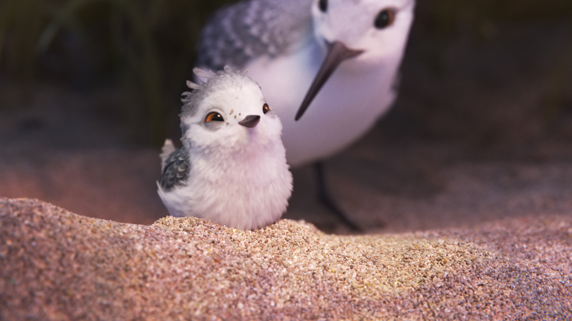 Pixar Short Review – Piper