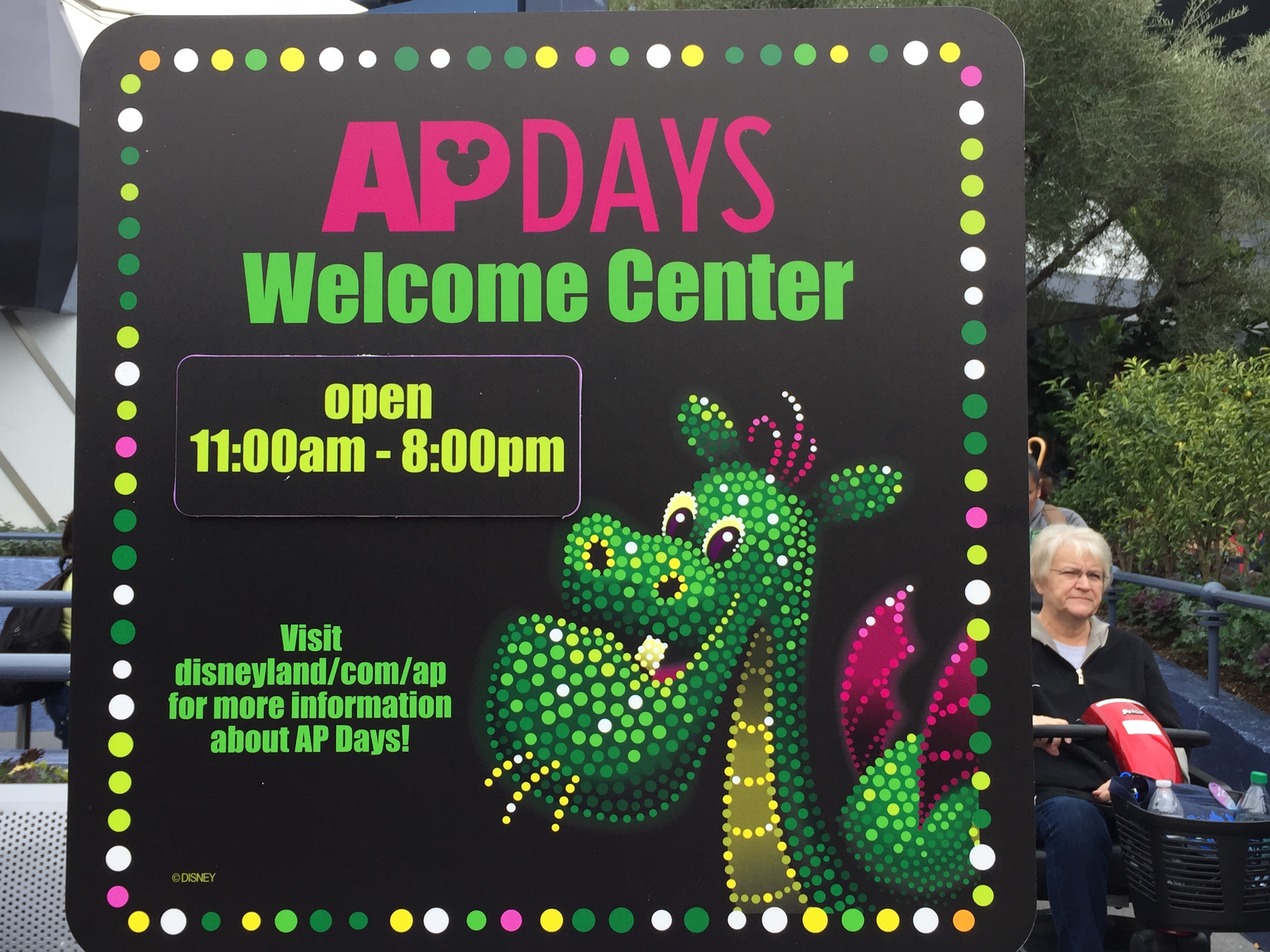 AP Days at the Disneyland Resort – A Guide