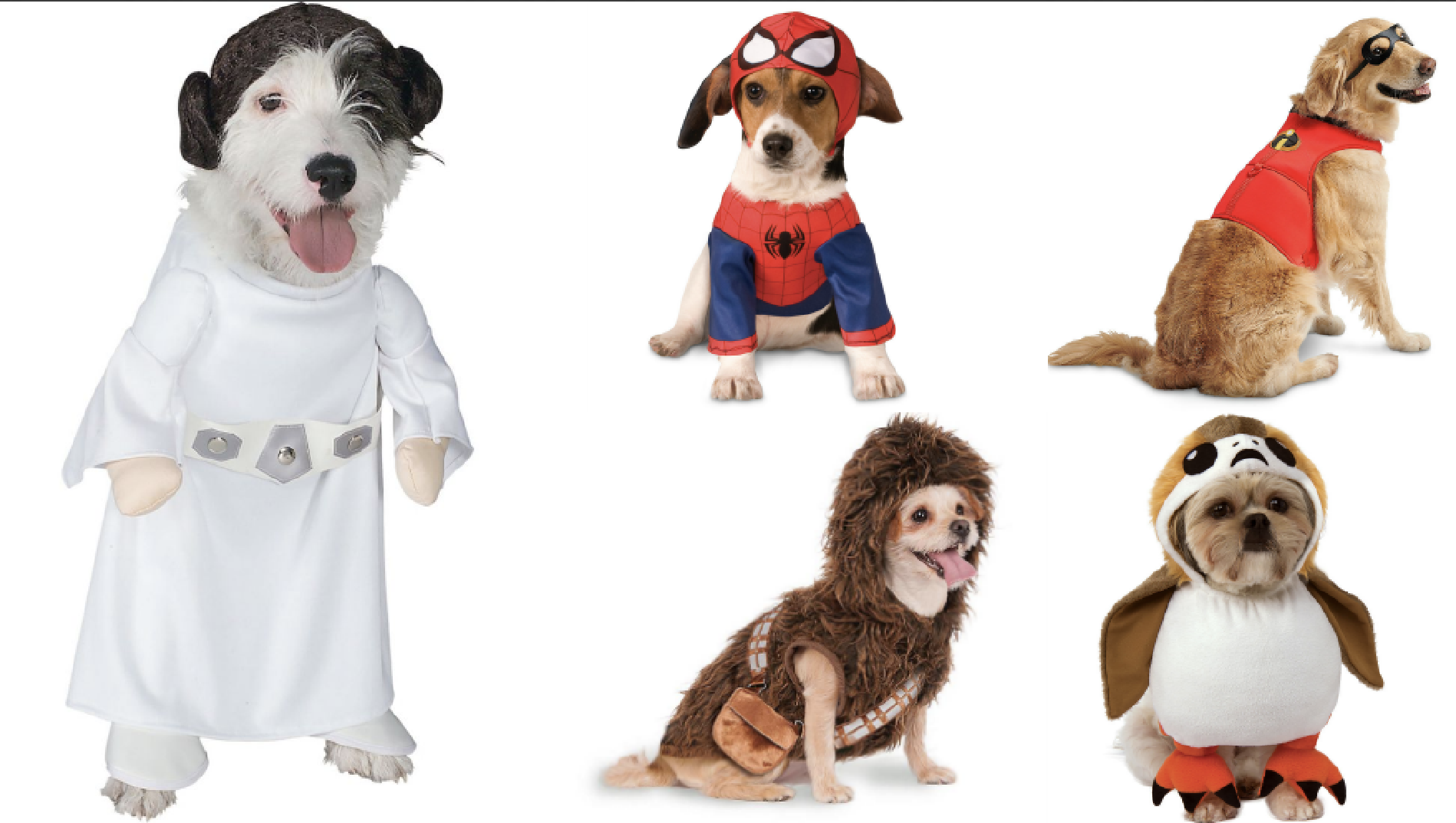 Complete Your Group Look with These Halloween Dog Costumes