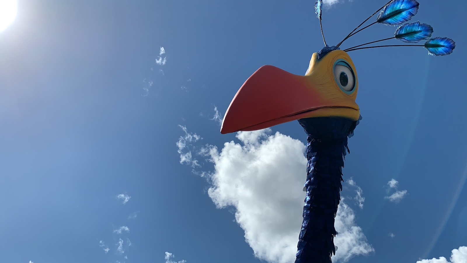 Kevin From Up Wallpaper