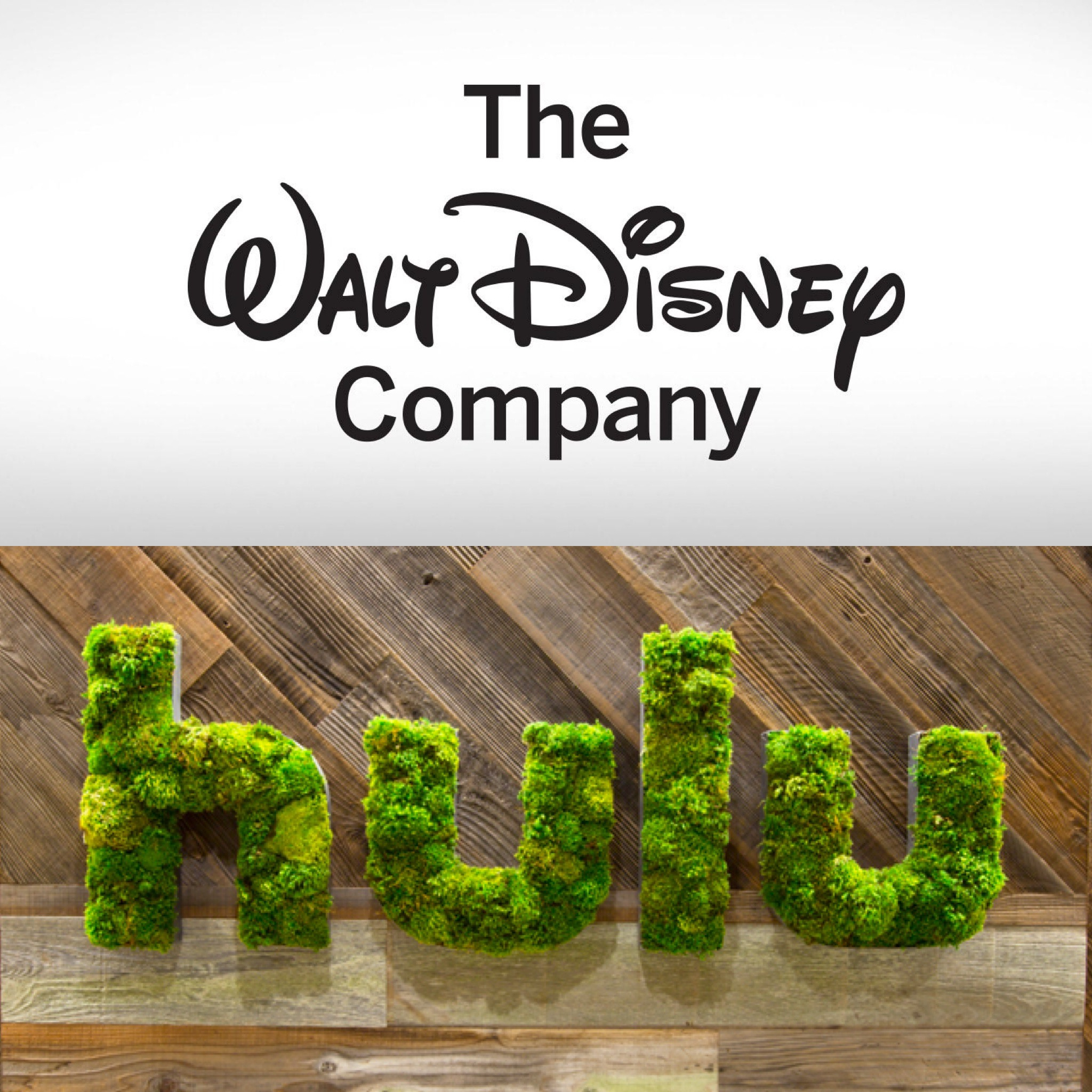 Disney Takes Full Control of Hulu