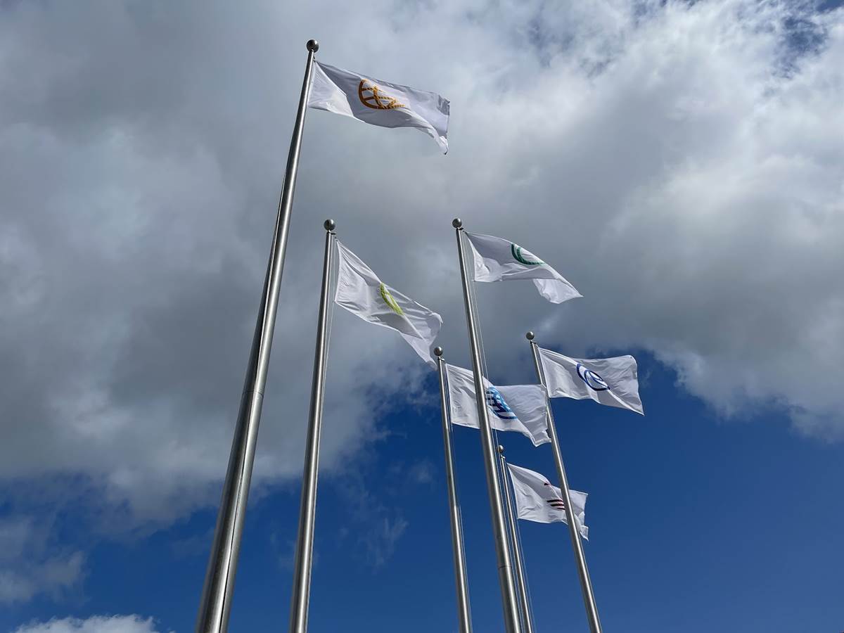 EPCOT Installs Brand New Flags Featuring Original Icons and New Area ...