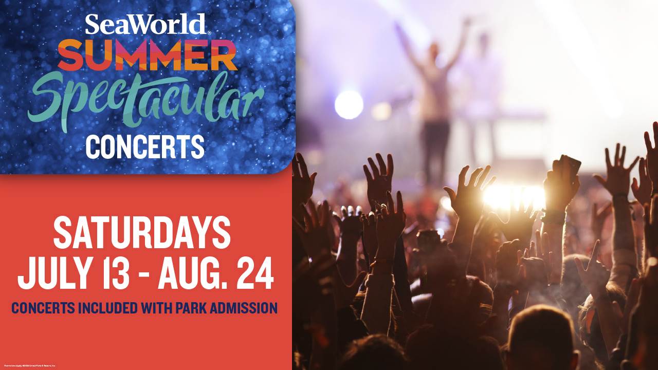 SeaWorld San Diego Reveals Summer Spectacular Concert Line-Up