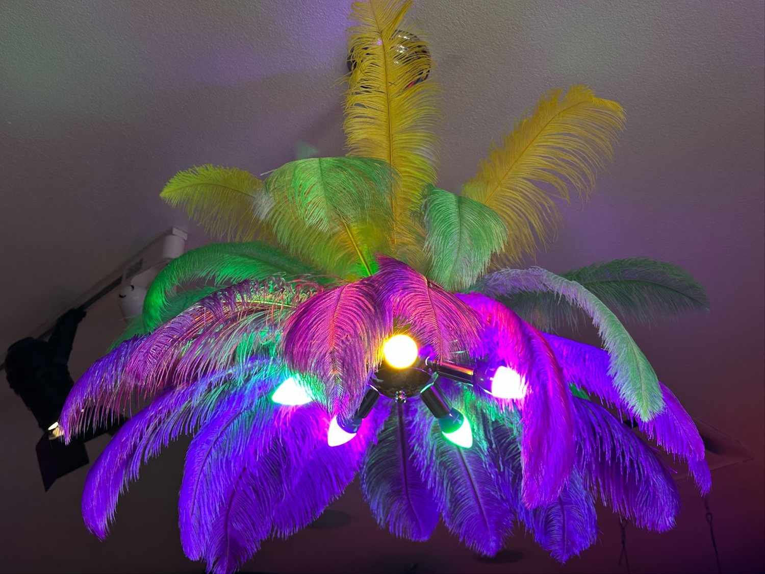 Photos: Cursed Coconut Club Debuts at Universal Orlando’s CityWalk