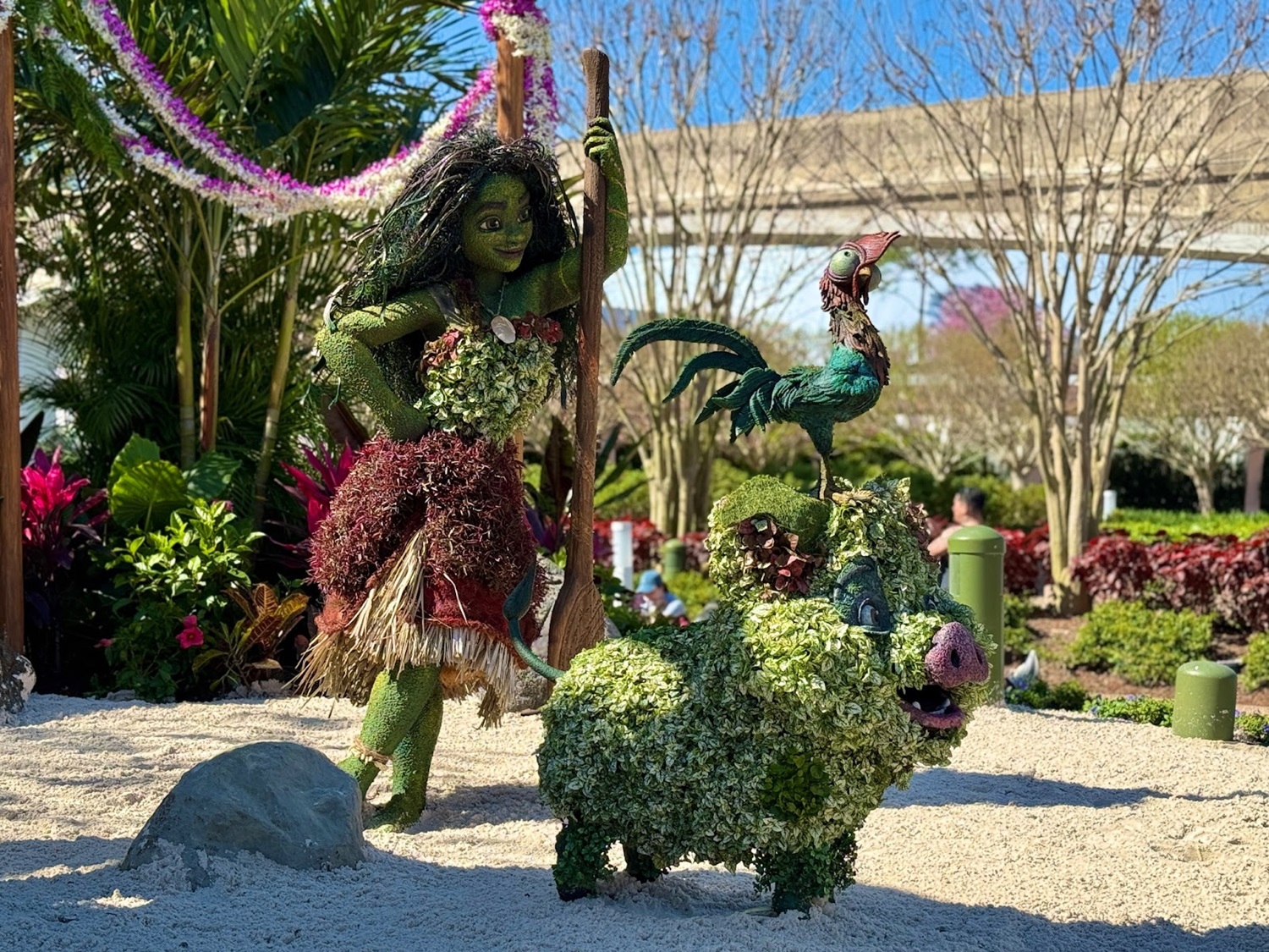 Photos: Impressive Moana Topiary Display Debuts at EPCOT for the International Flower & Garden ...