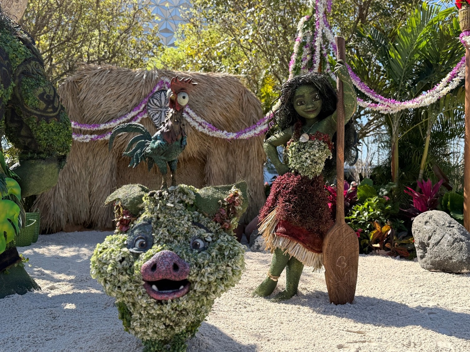 Photos: Impressive Moana Topiary Display Debuts at EPCOT for the International Flower & Garden ...