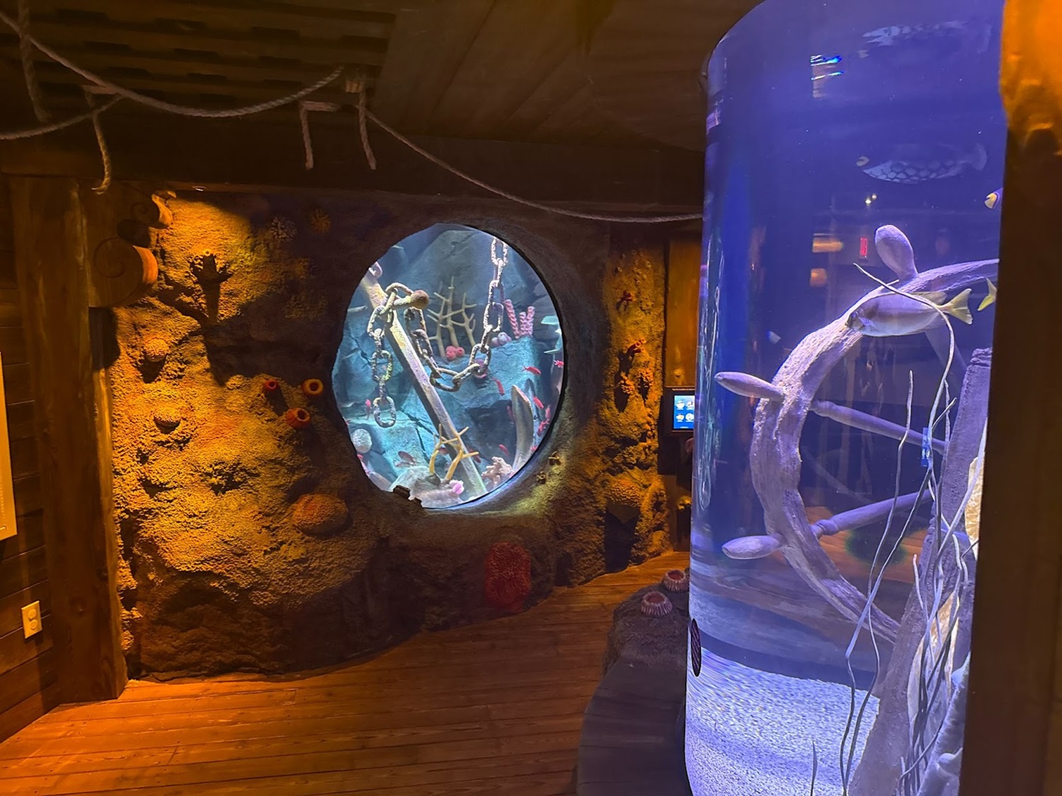 Photos / Video: SEA LIFE Florida Brings a Theme Park Under the Sea to ...