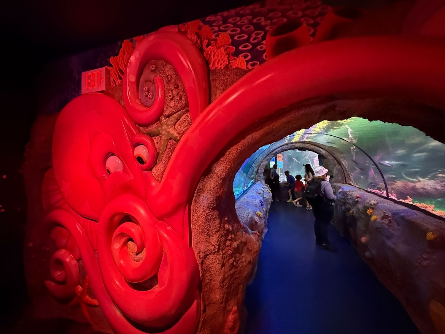 Photos / Video: SEA LIFE Florida Brings a Theme Park Under the Sea to ...
