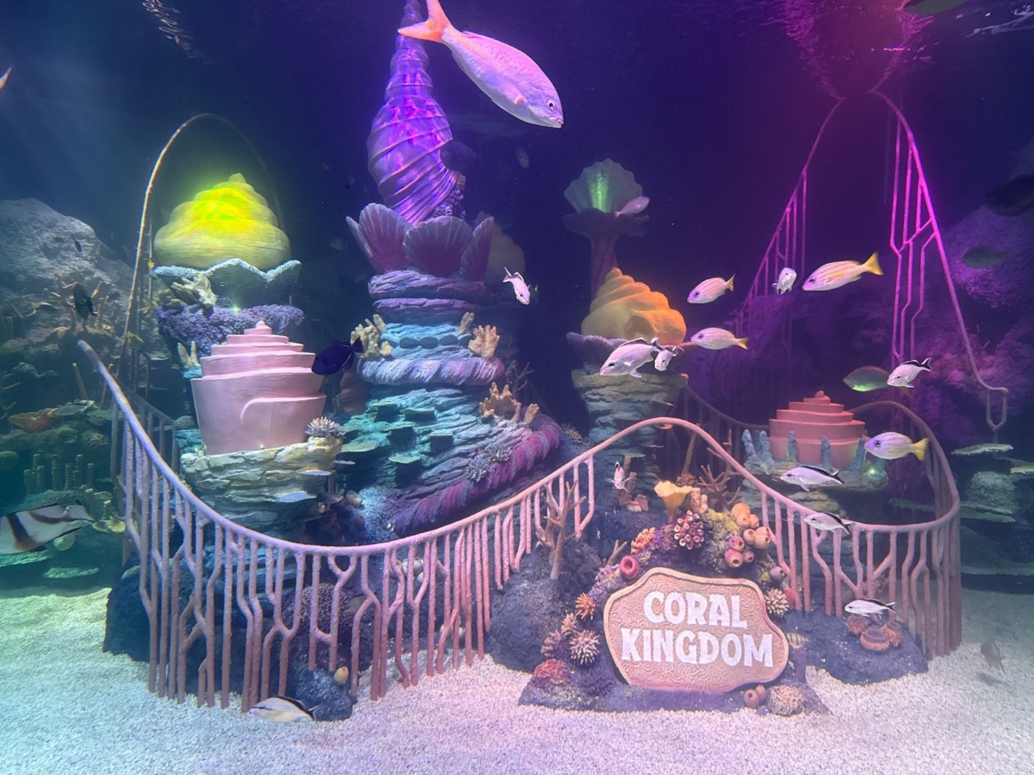 Photos / Video: SEA LIFE Florida Brings a Theme Park Under the Sea to ...