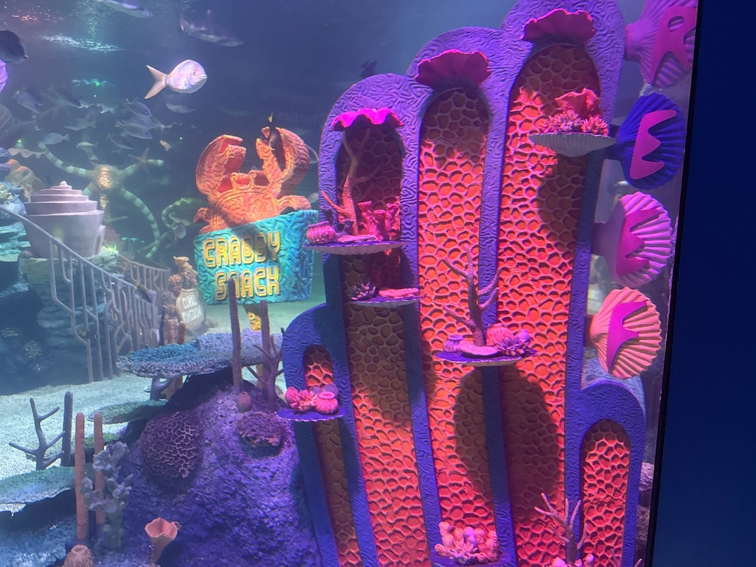 Photos / Video: SEA LIFE Florida Brings a Theme Park Under the Sea to ...
