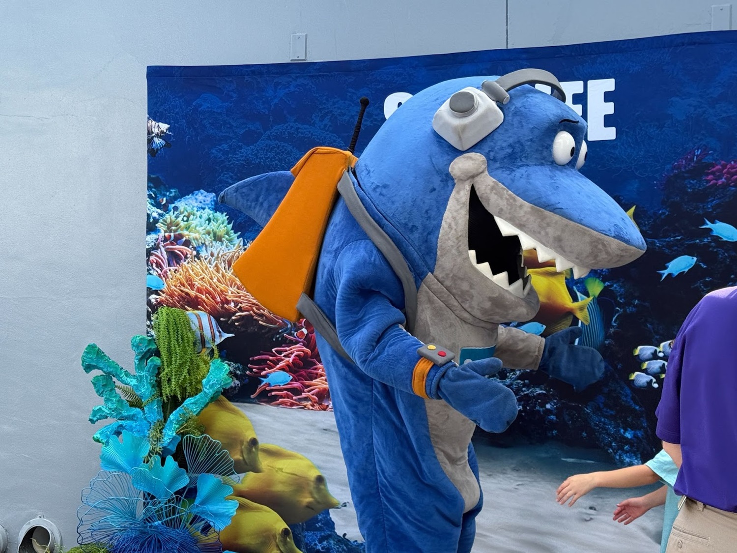 Photos / Video: SEA LIFE Florida Brings a Theme Park Under the Sea to ...