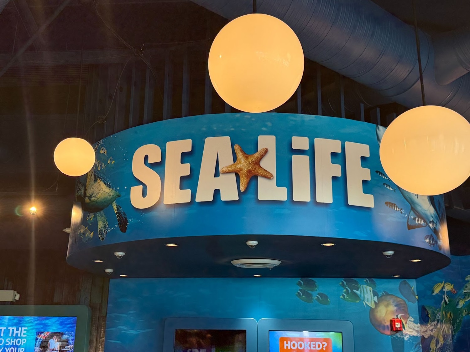 Photos / Video: SEA LIFE Florida Brings a Theme Park Under the Sea to ...