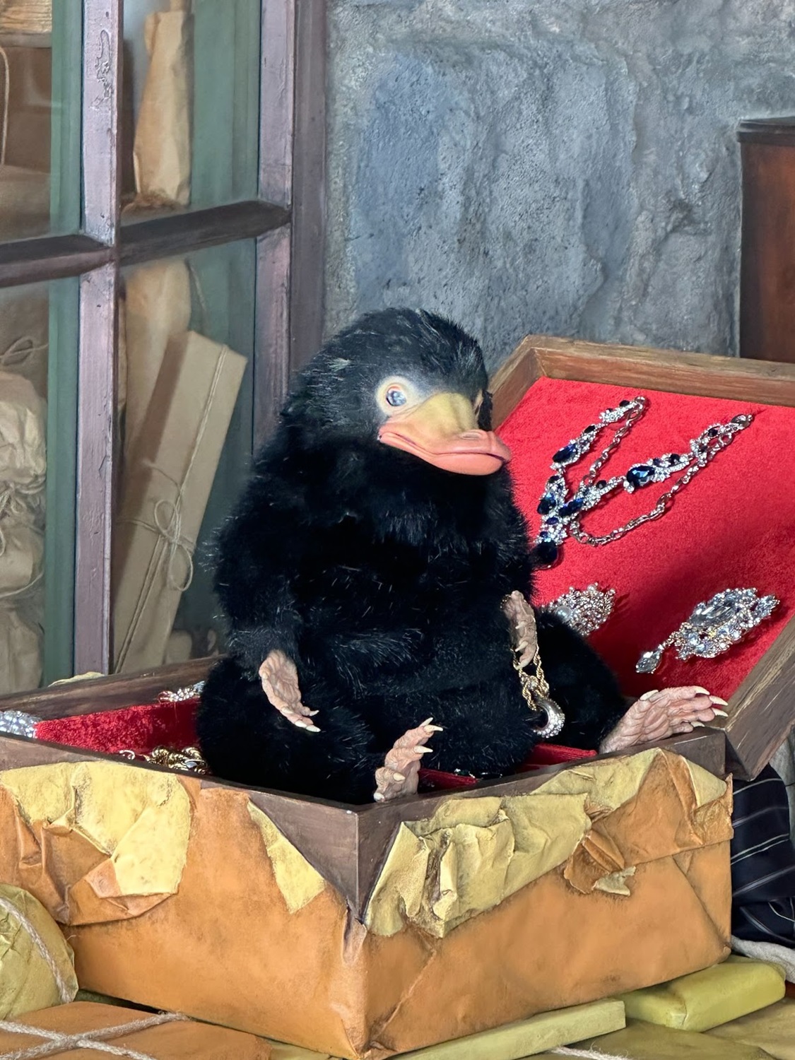 Photos / Video: Meet Magical Creatures in The Wizarding World During ...