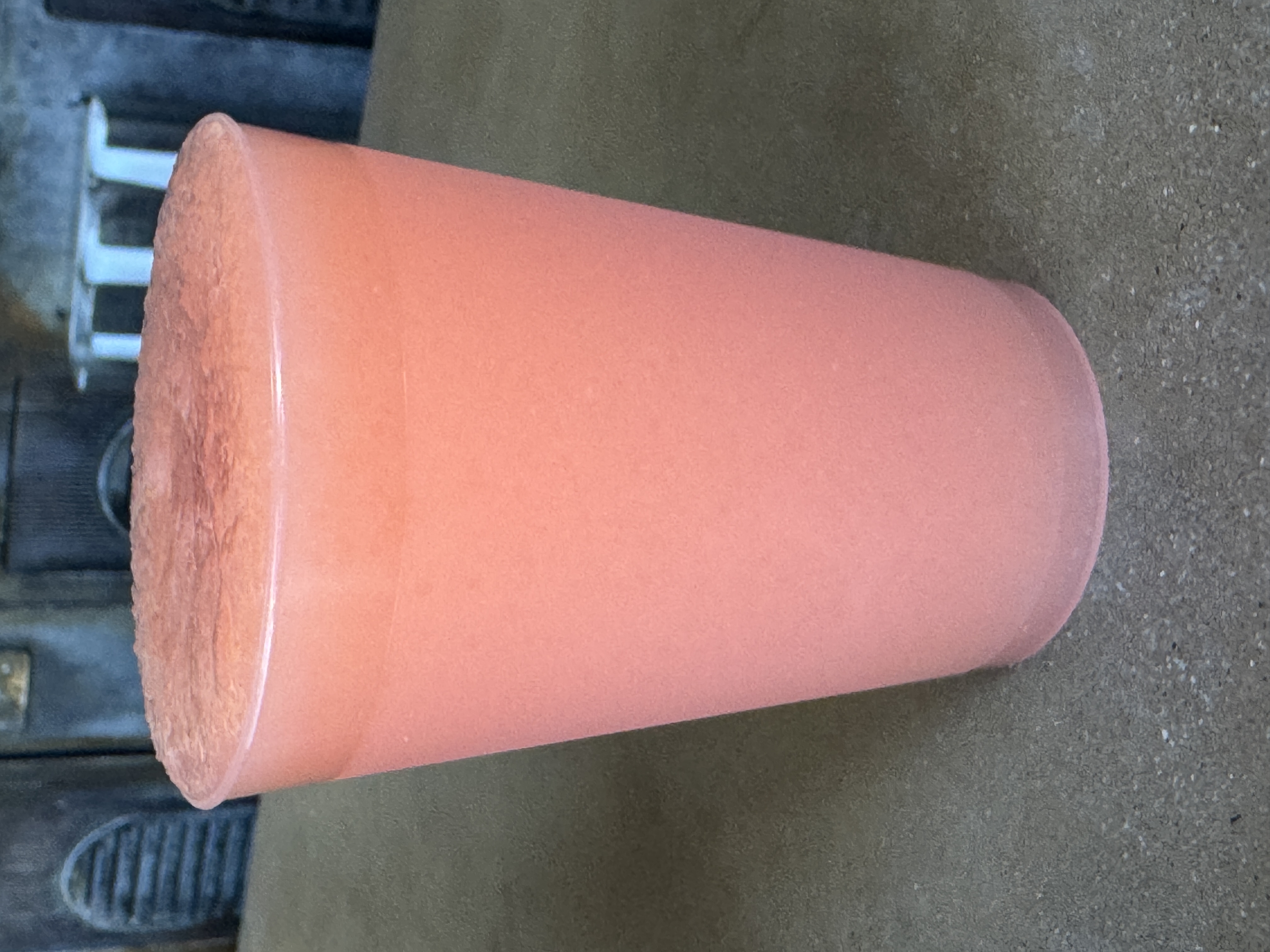 Pink Milk Taste Test at Disneyland's Star Wars Galaxy's Edge
