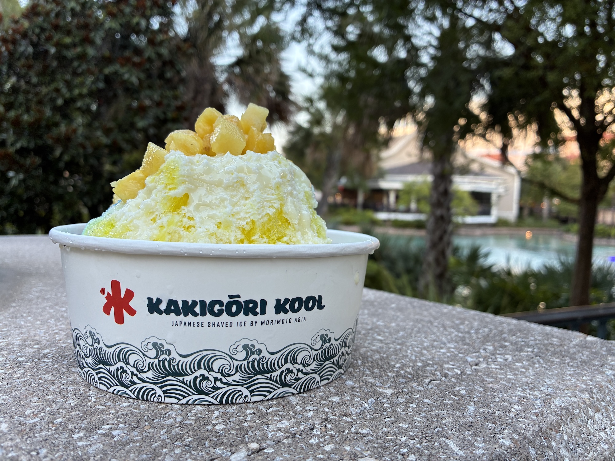 Kakigōri Kool Now Open at Disney Springs: A Quick Review