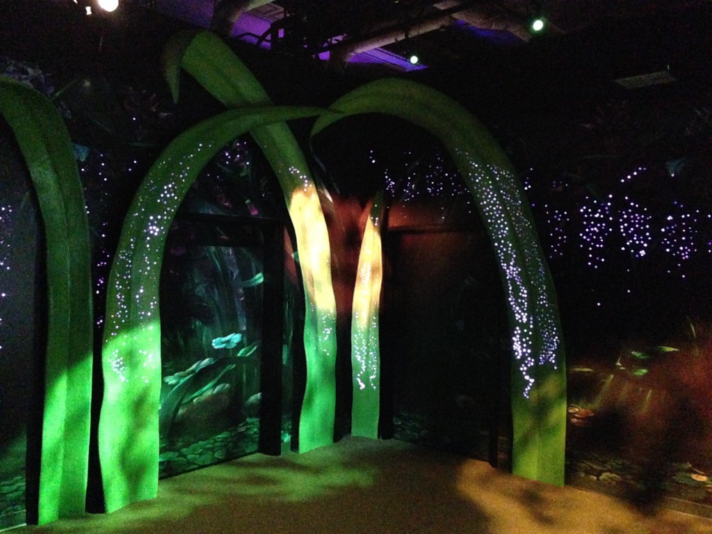 Tinker Bell's New Home at Magic Kingdom - LaughingPlace.com