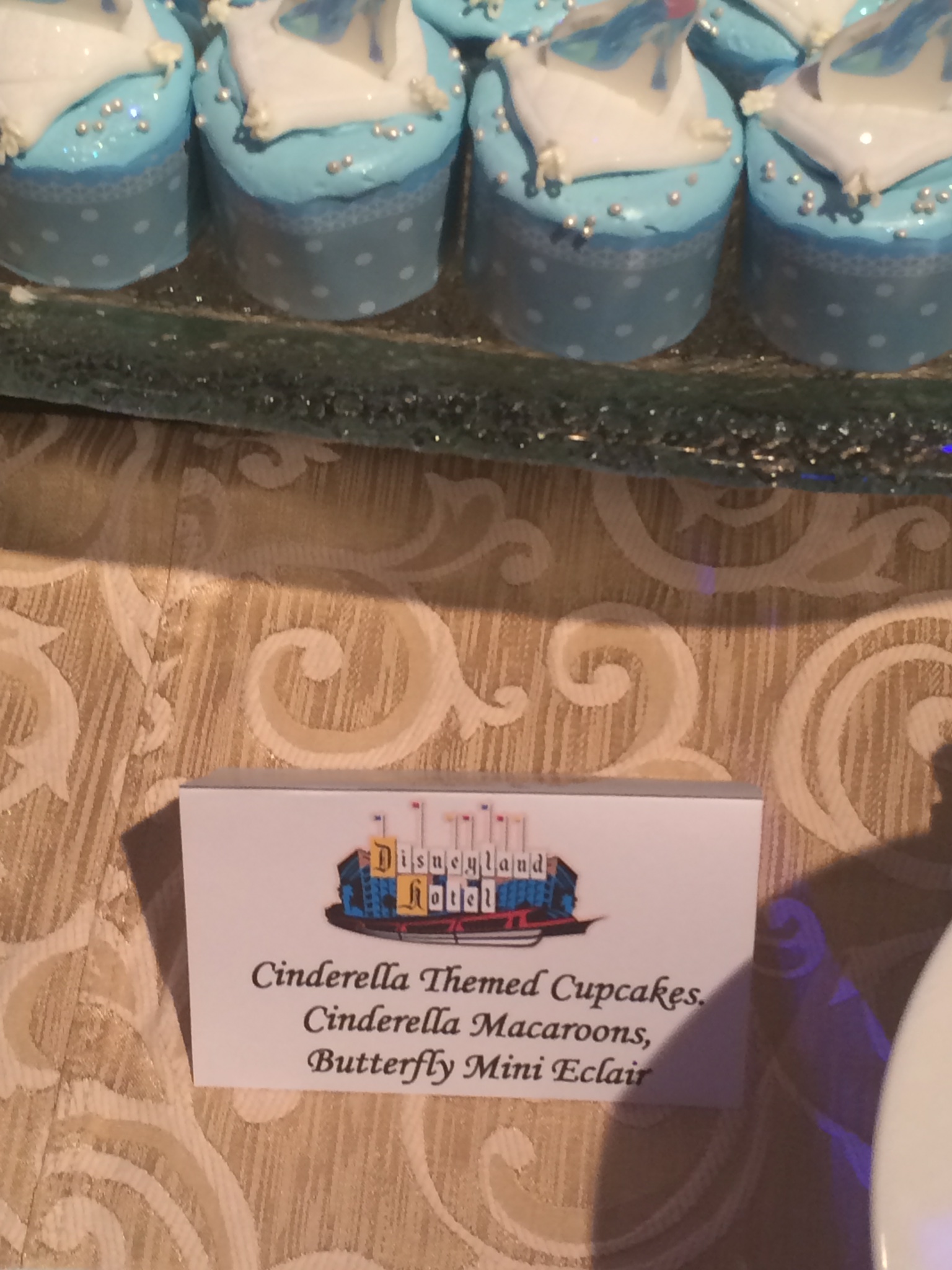 Cinderella Disney Parks Blog Meetup - LaughingPlace.com