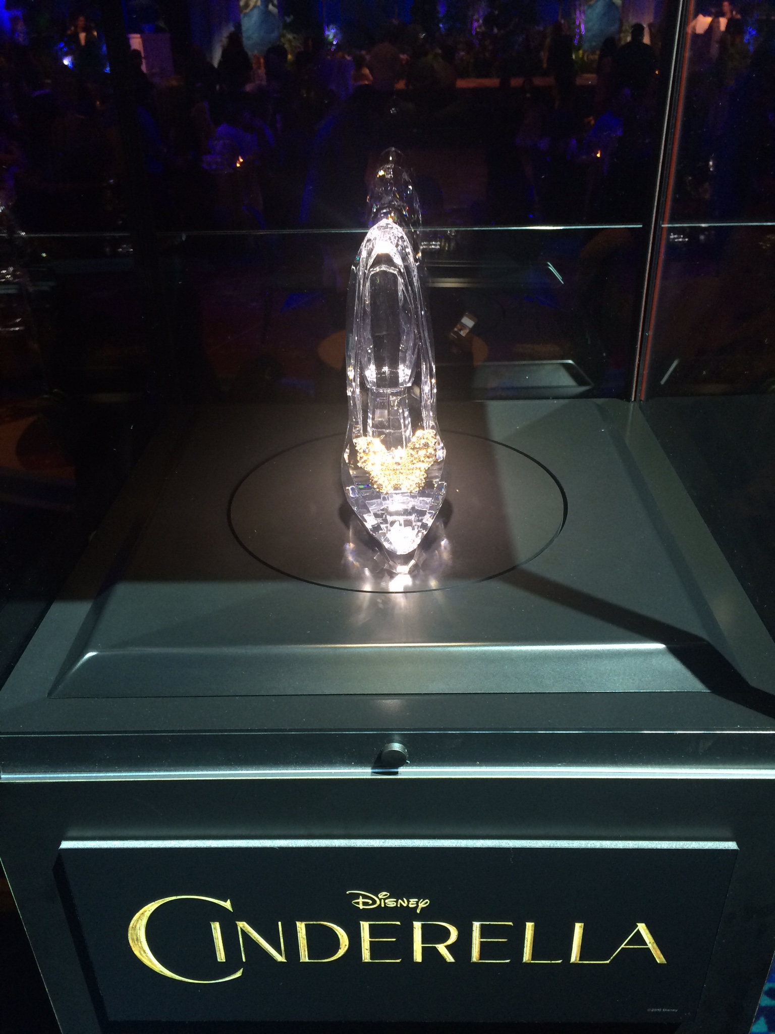 Cinderella Disney Parks Blog Meetup - LaughingPlace.com