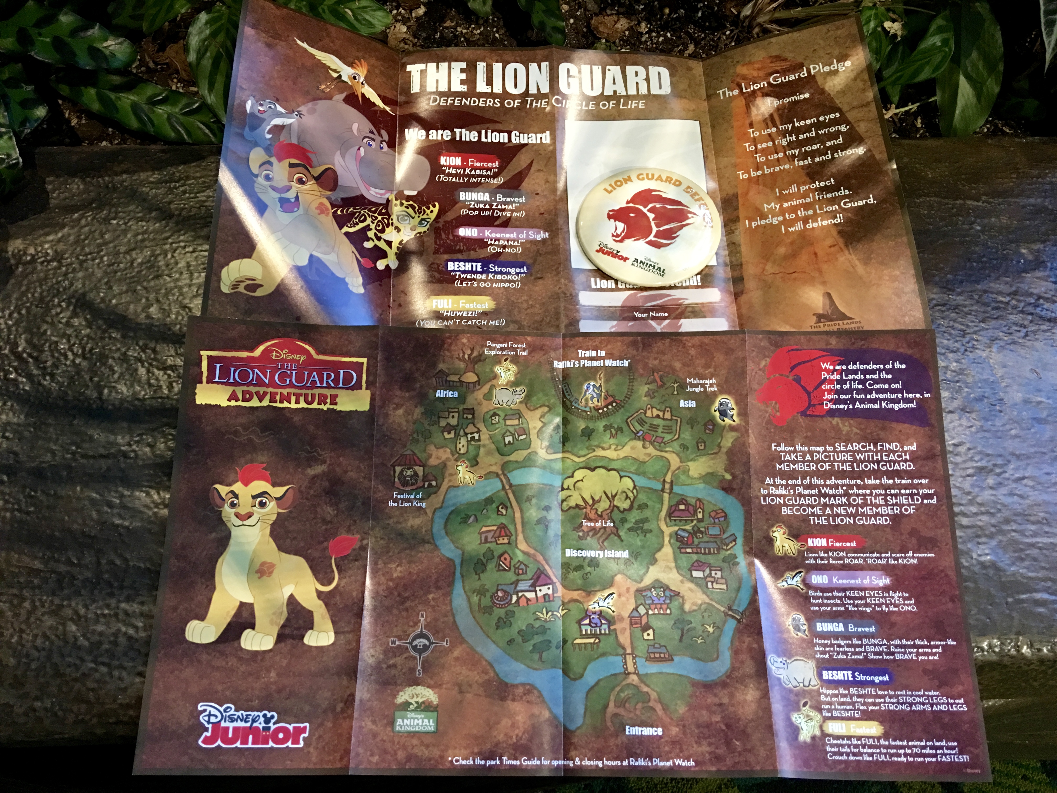 Disney Junior The Lion Guard Adventure Roars into Disney's Animal ...