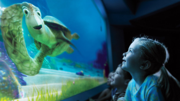 Finding Dory Enhancements Being Made to Turtle Talk - LaughingPlace.com