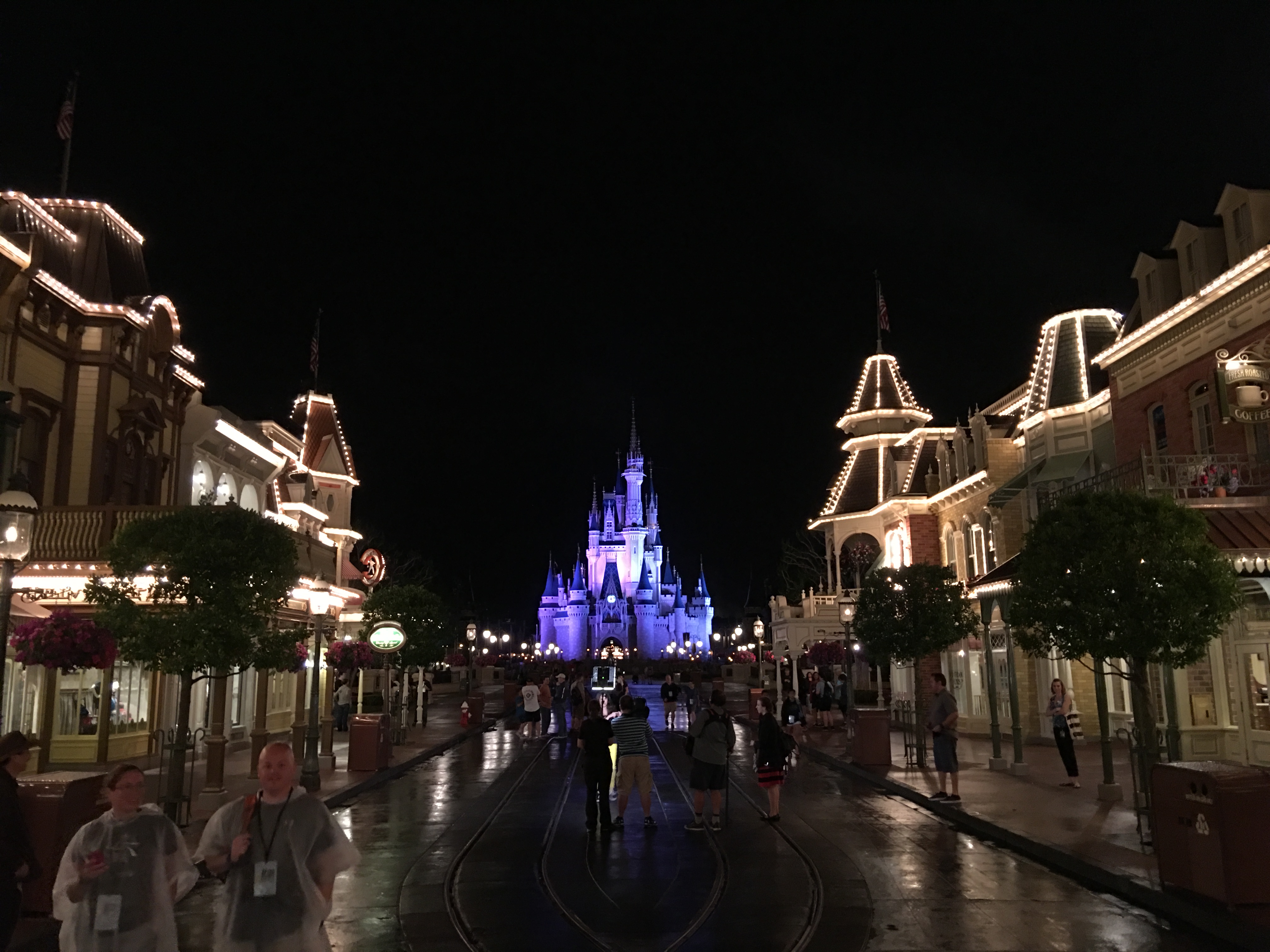 Disney After Hours at Magic Kingdom: A Full Review - LaughingPlace.com