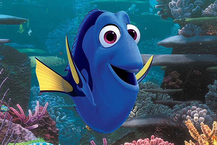 Was Finding Nemo Bad For Clownfish? Will Finding Dory Be The Same ...