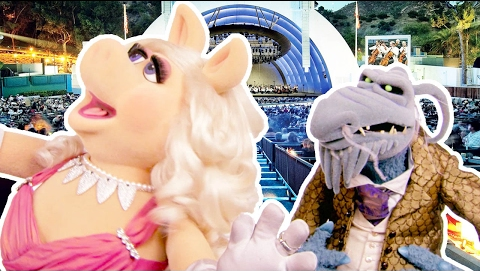Muppets to Perform Live at the Hollywood Bowl This September ...