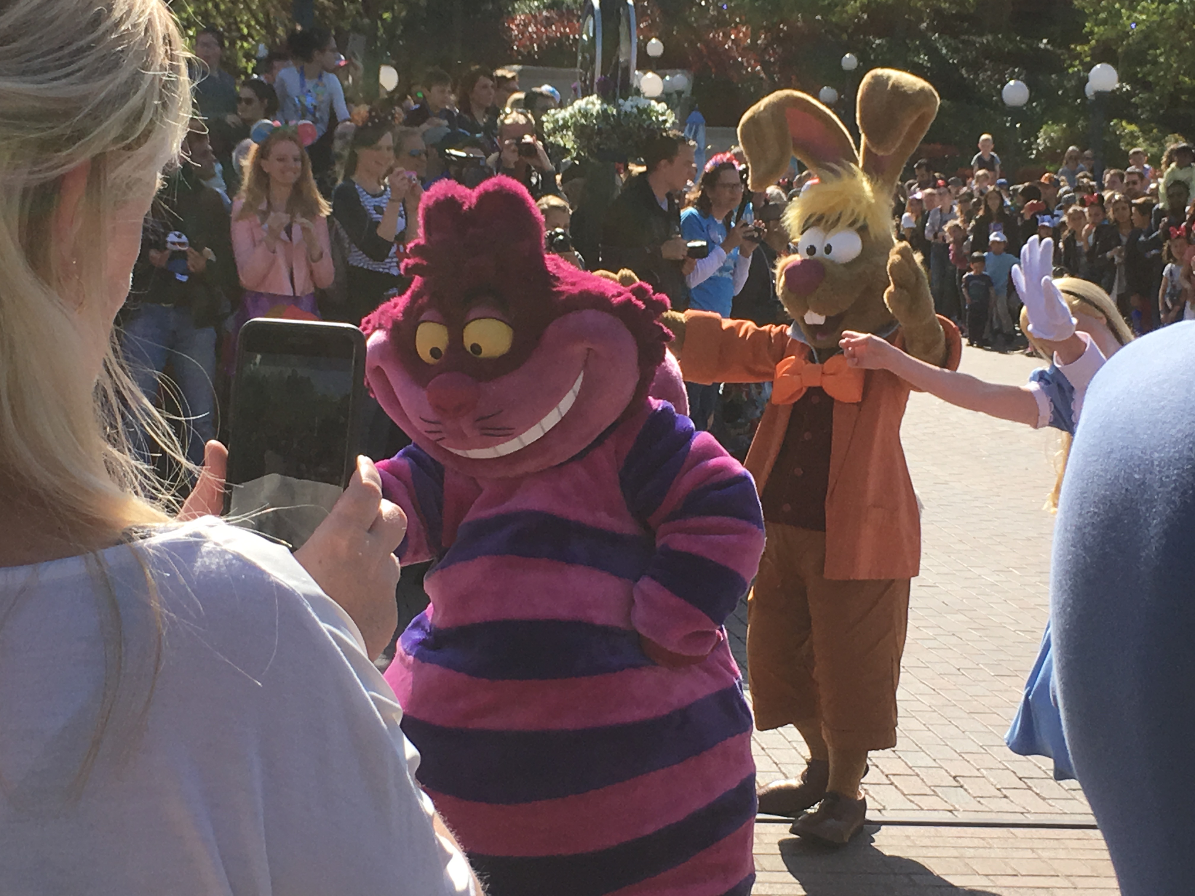 25 Insanely Rare Characters That Came Out for Disneyland Paris's 25th ...