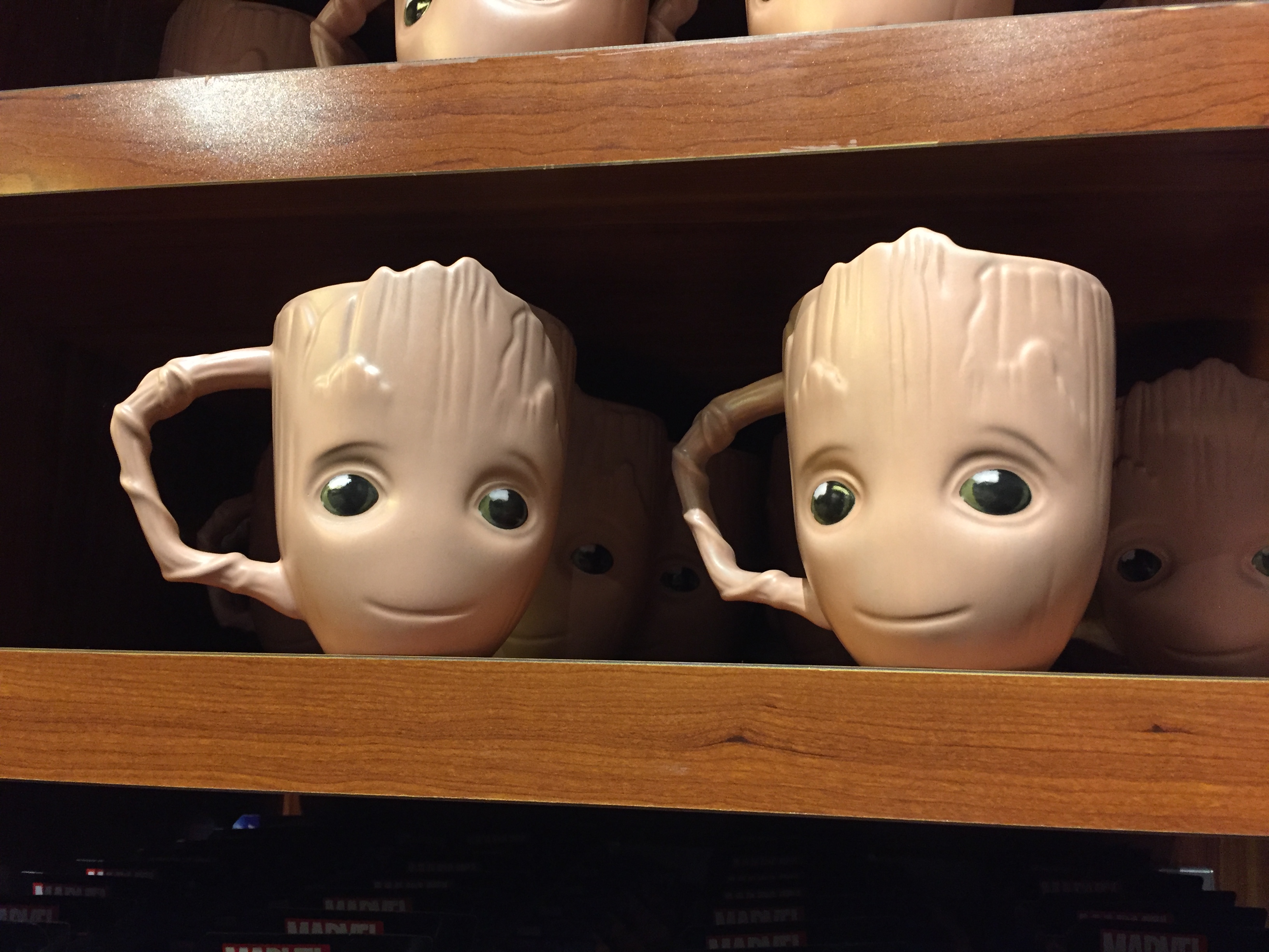 Disneyland Resort Update — May 2017 - LaughingPlace.com