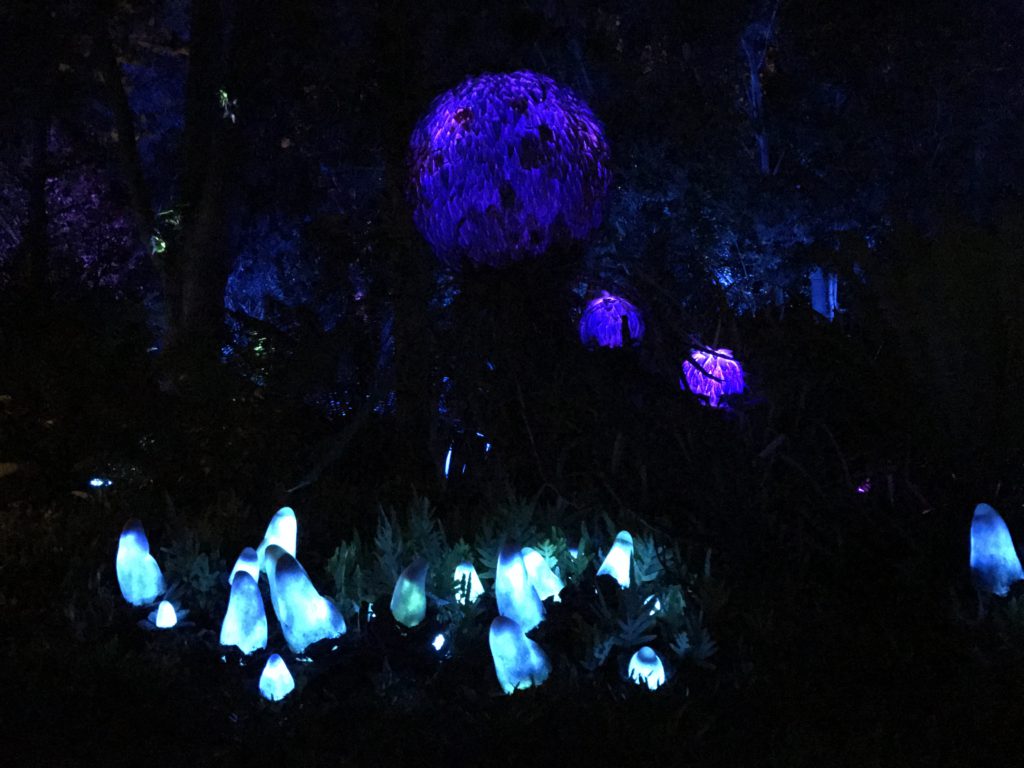 Pandora: The World of Avatar Comes Alive at Night; While the Tree of ...