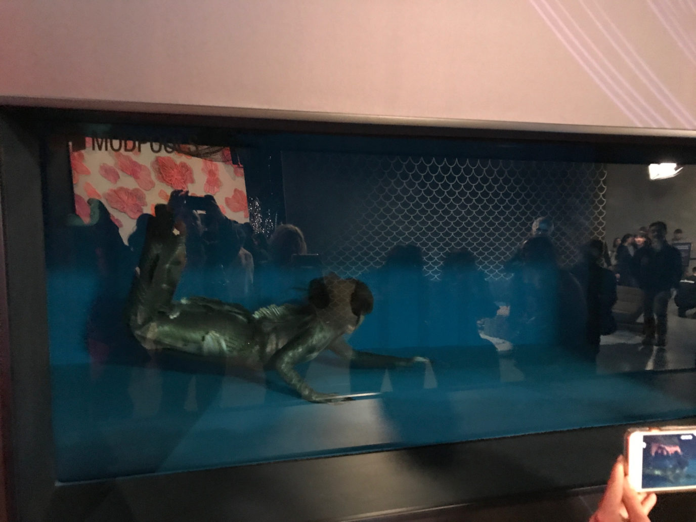 Mermaid Museum Pop-Ups to Promote Freeform's Siren - LaughingPlace.com