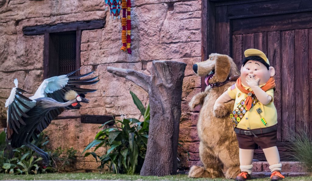 UP! A Great Bird Adventure Debuts at Disney's Animal Kingdom ...