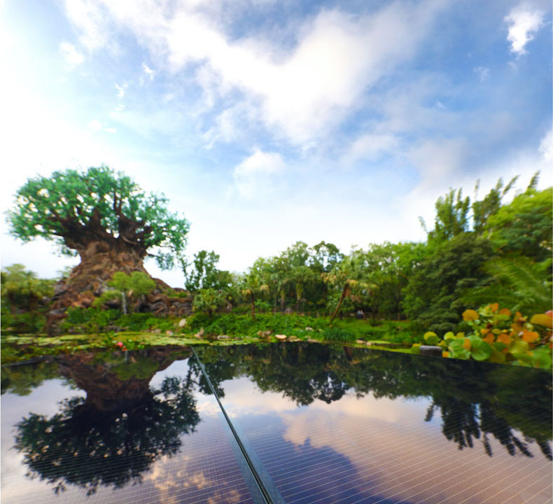 Walt Disney World Expands Solar Energy Project in Florida