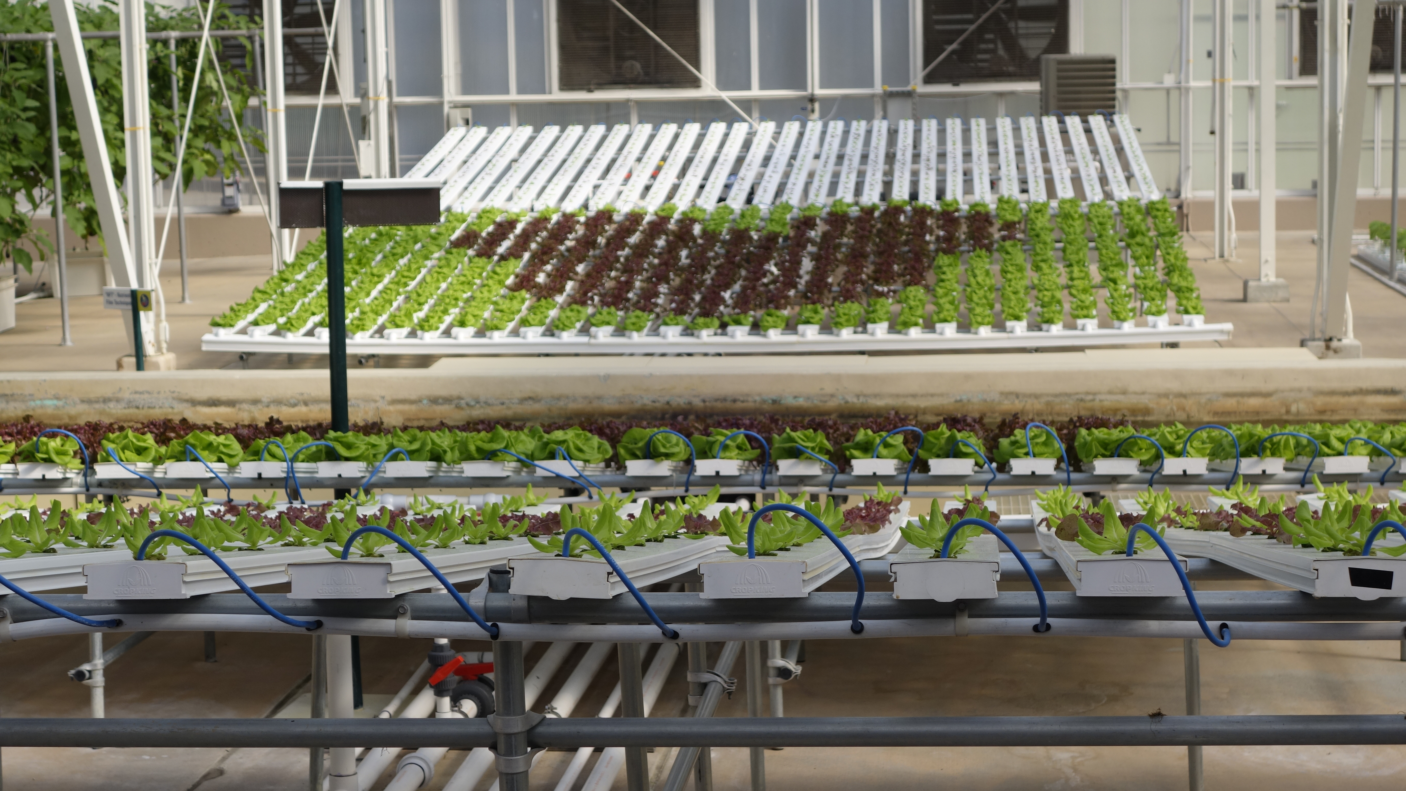 Review: Behind the Seeds Tour at Epcot - LaughingPlace.com