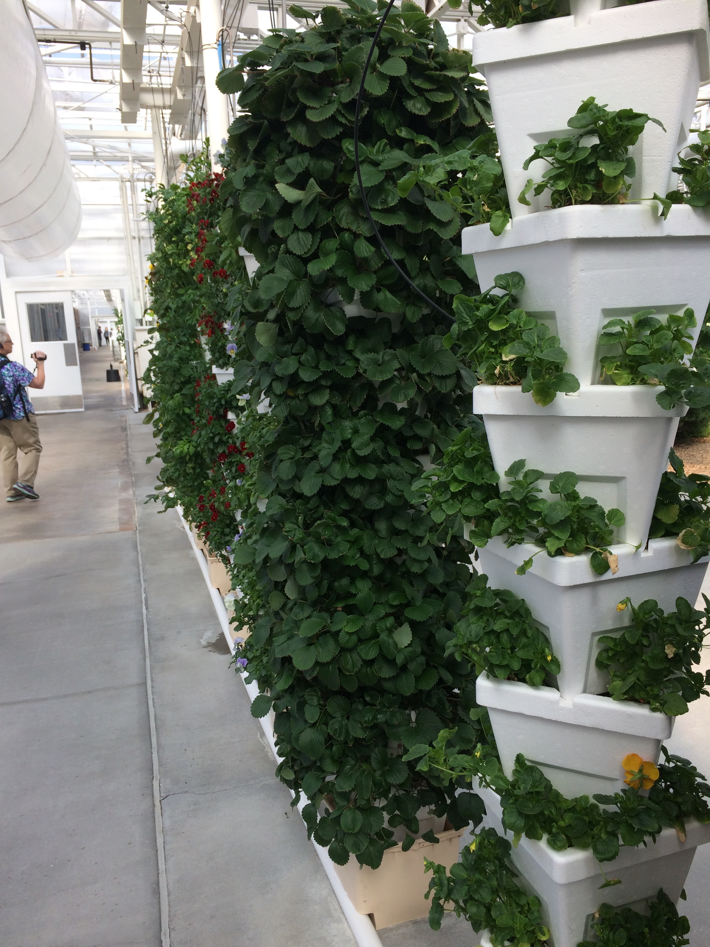 Review: Behind the Seeds Tour at Epcot - LaughingPlace.com