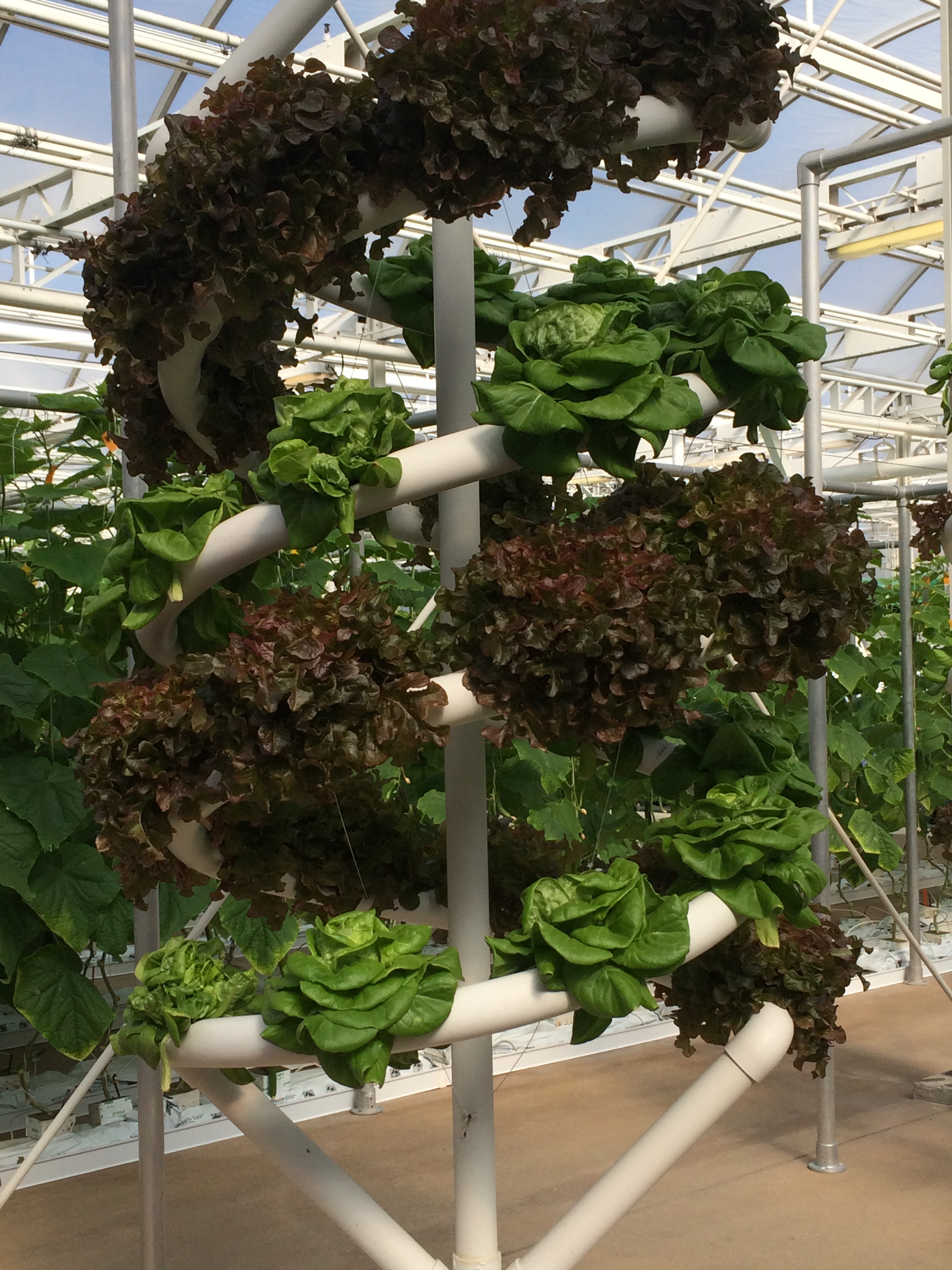 Review: Behind the Seeds Tour at Epcot - LaughingPlace.com