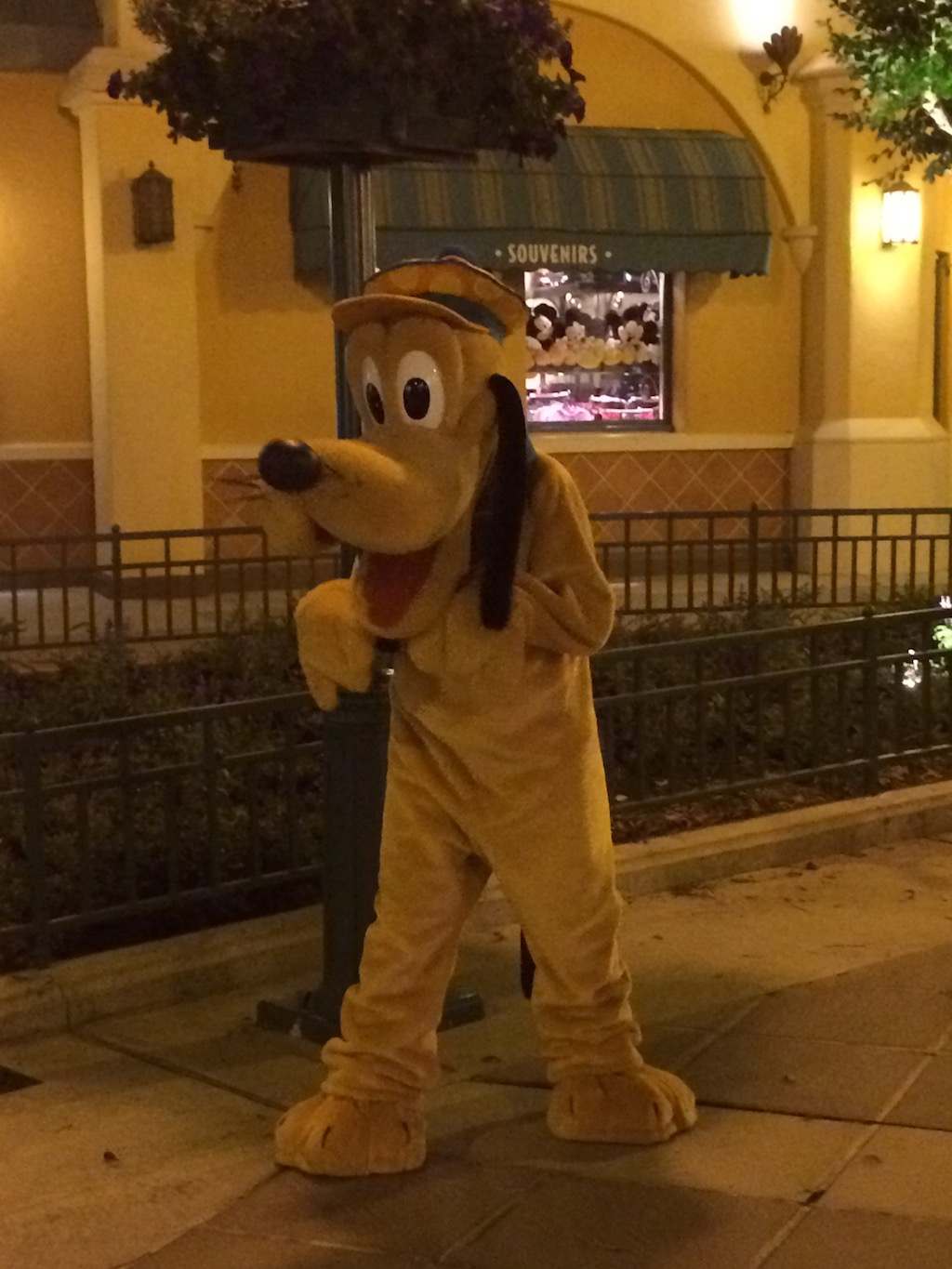 Photos of the Amazing and Rare Disney FanDaze Characters