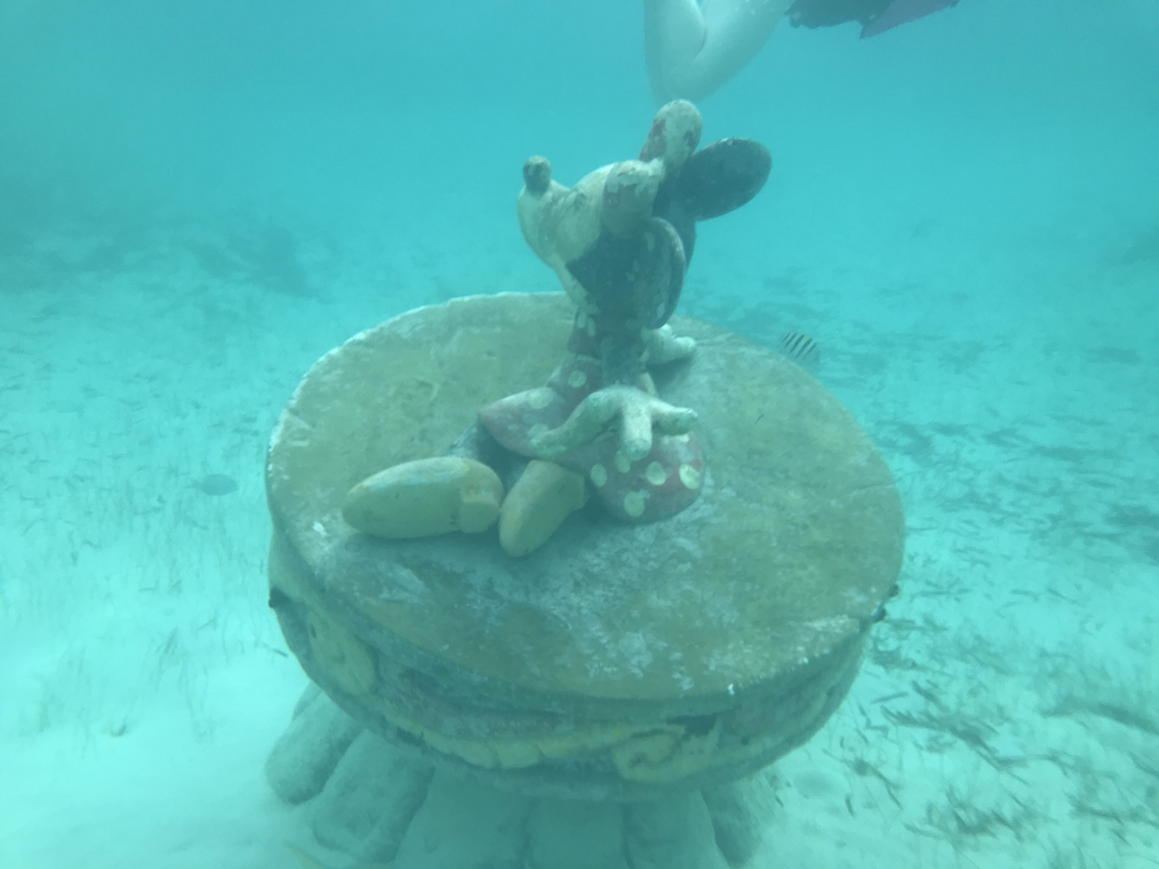 Impressions of the Disney Dream - Castaway Cay - LaughingPlace.com