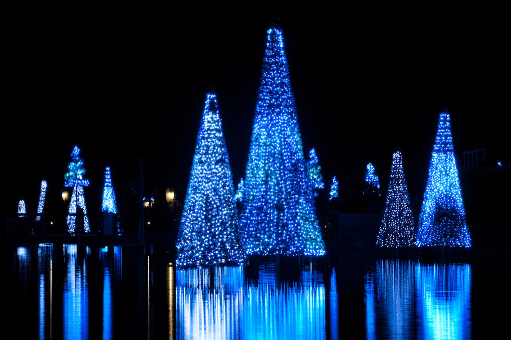 SeaWorld's Christmas Celebration Begins November 17 at SeaWorld Orlando