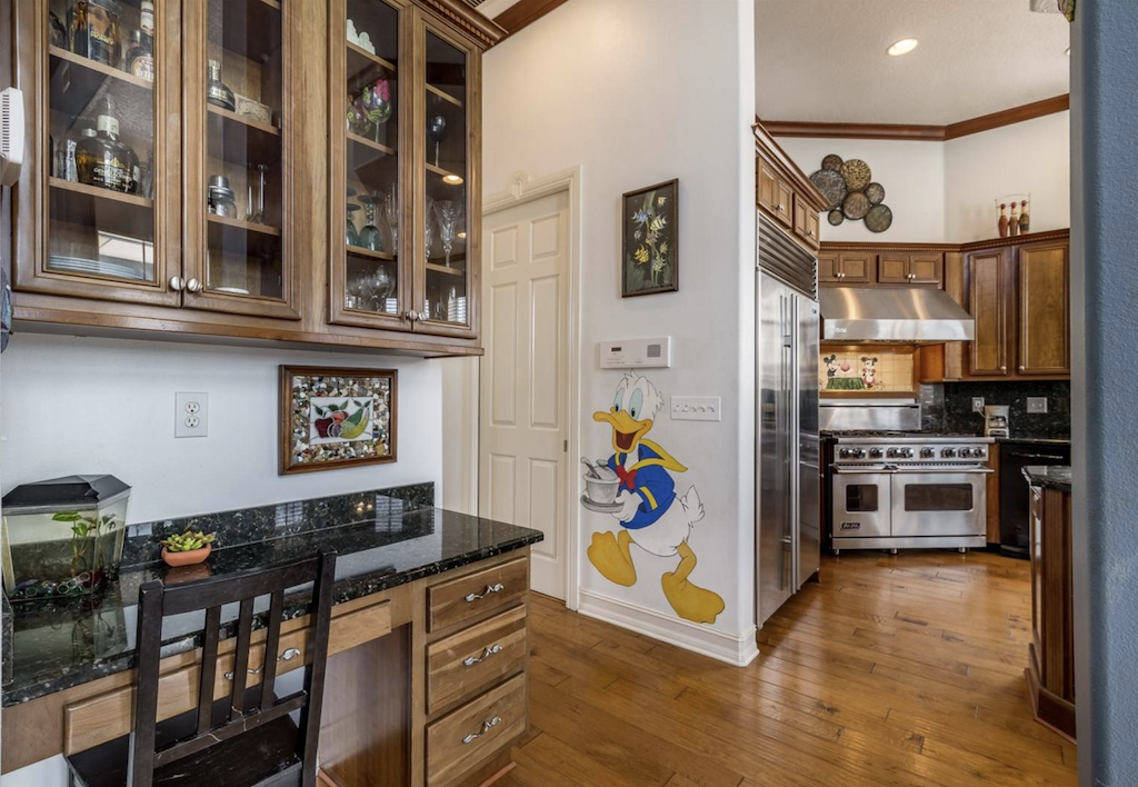 Disney-Themed House for Sale in Central Florida - LaughingPlace.com