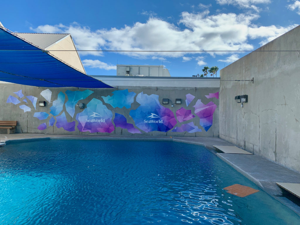Take an "Inside Look" at SeaWorld Orlando - LaughingPlace.com
