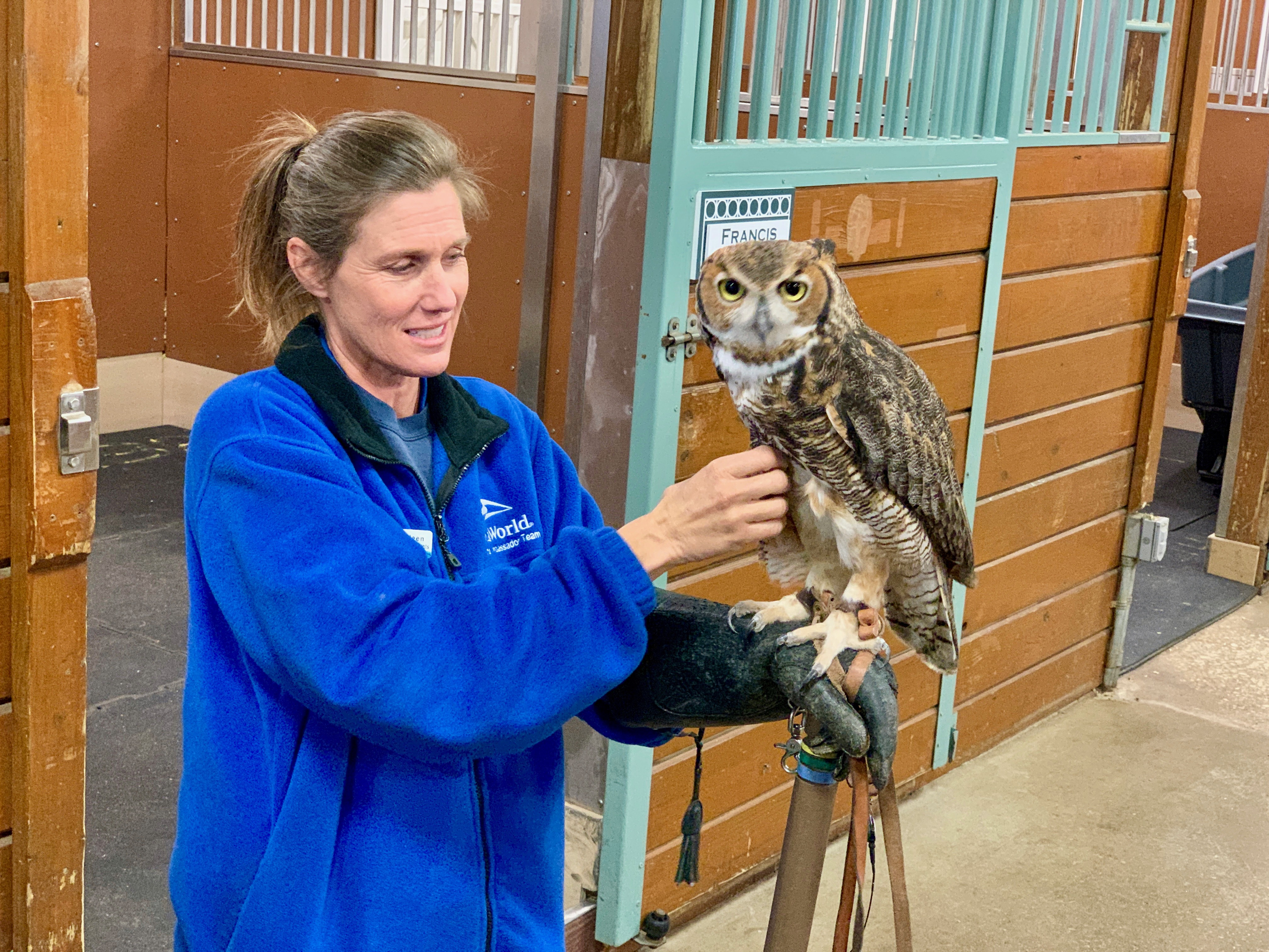 Take an "Inside Look" at SeaWorld Orlando - LaughingPlace.com