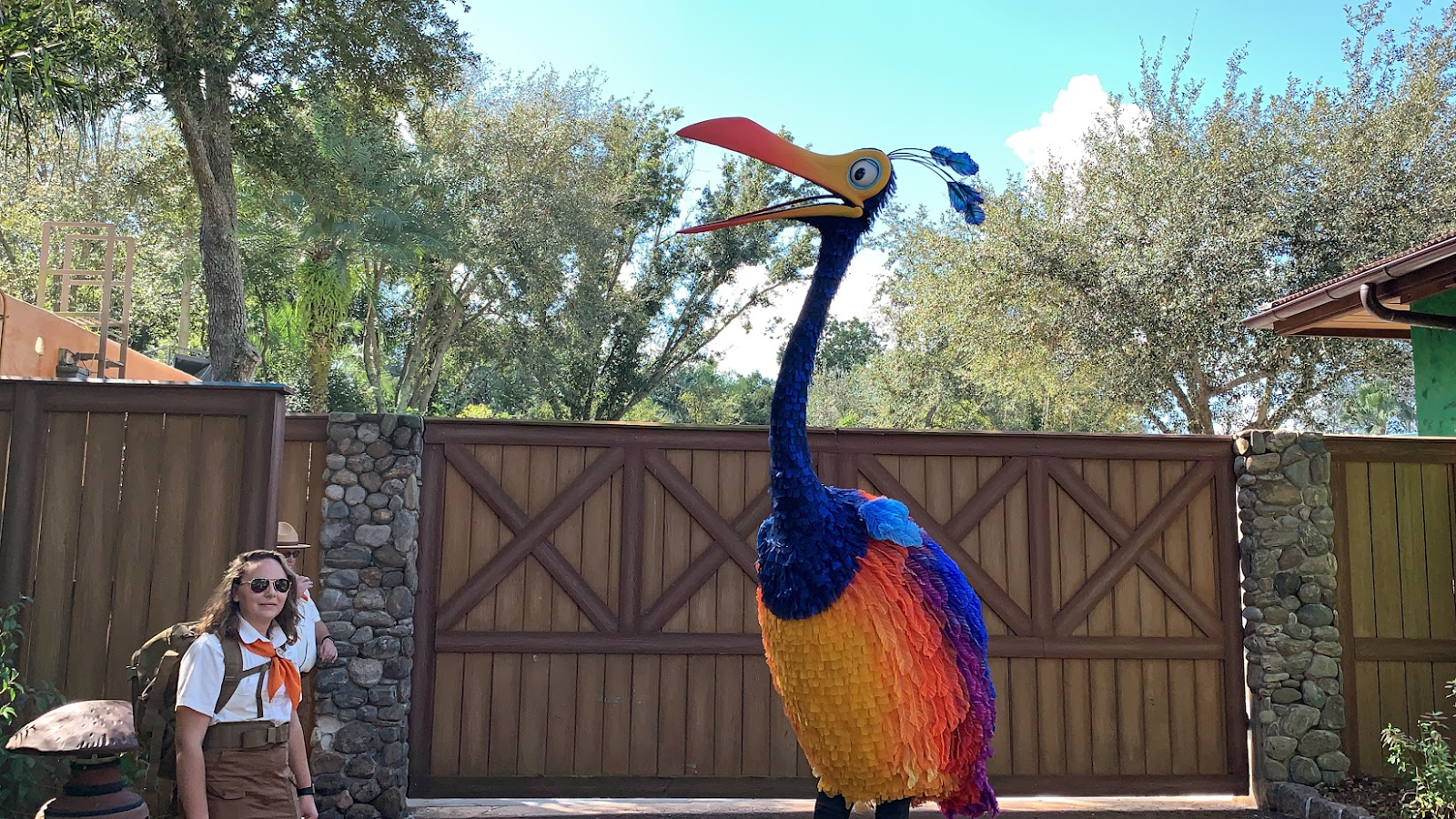 Kevin Up Bird Chocolate