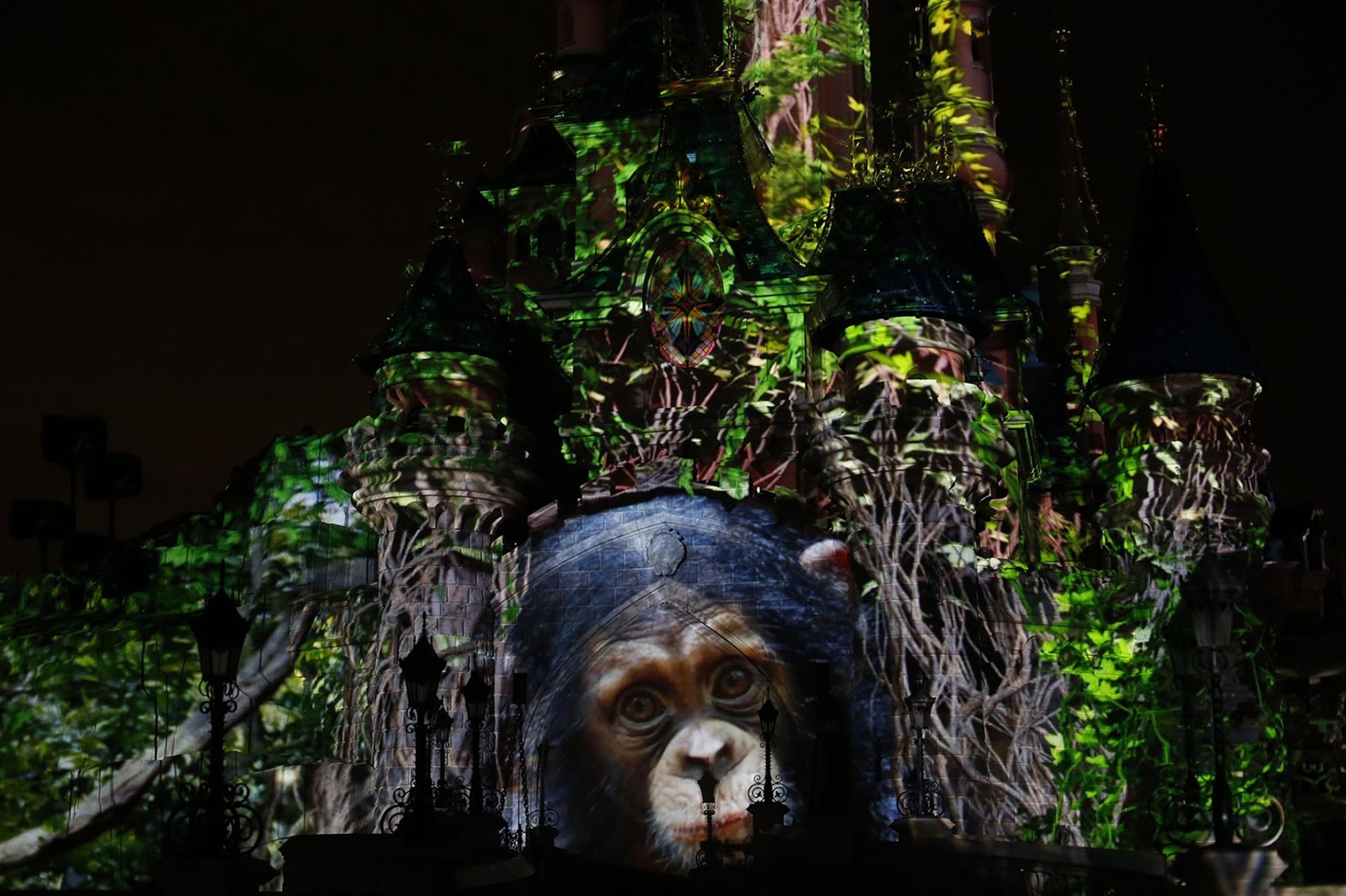 Disneynature Projection Show Returning to Disneyland Paris