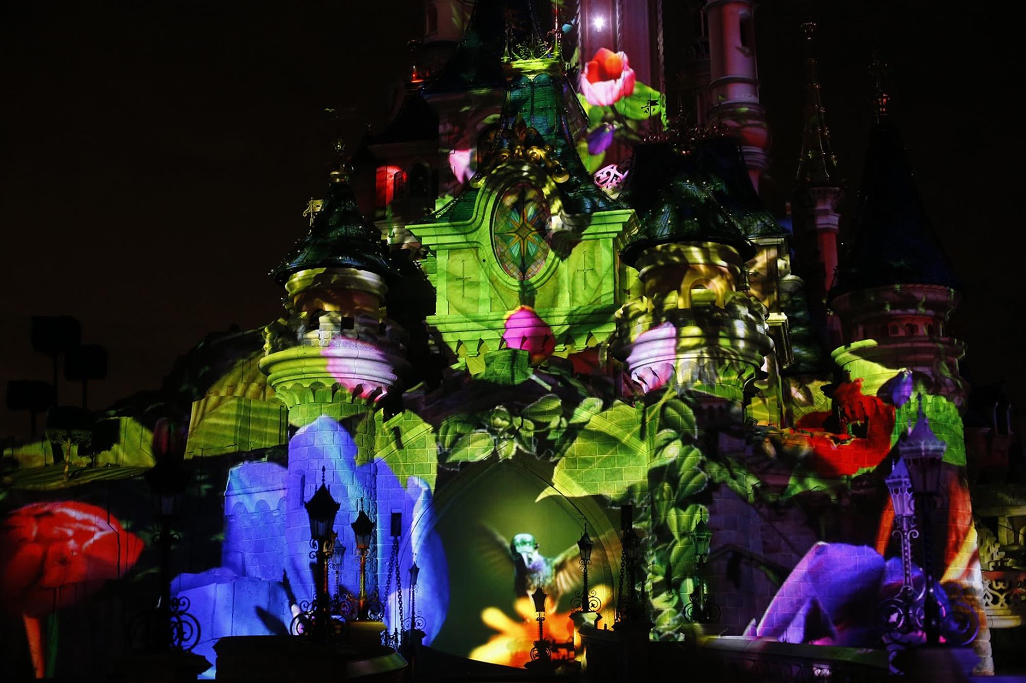 Disneynature Projection Show Returning to Disneyland Paris