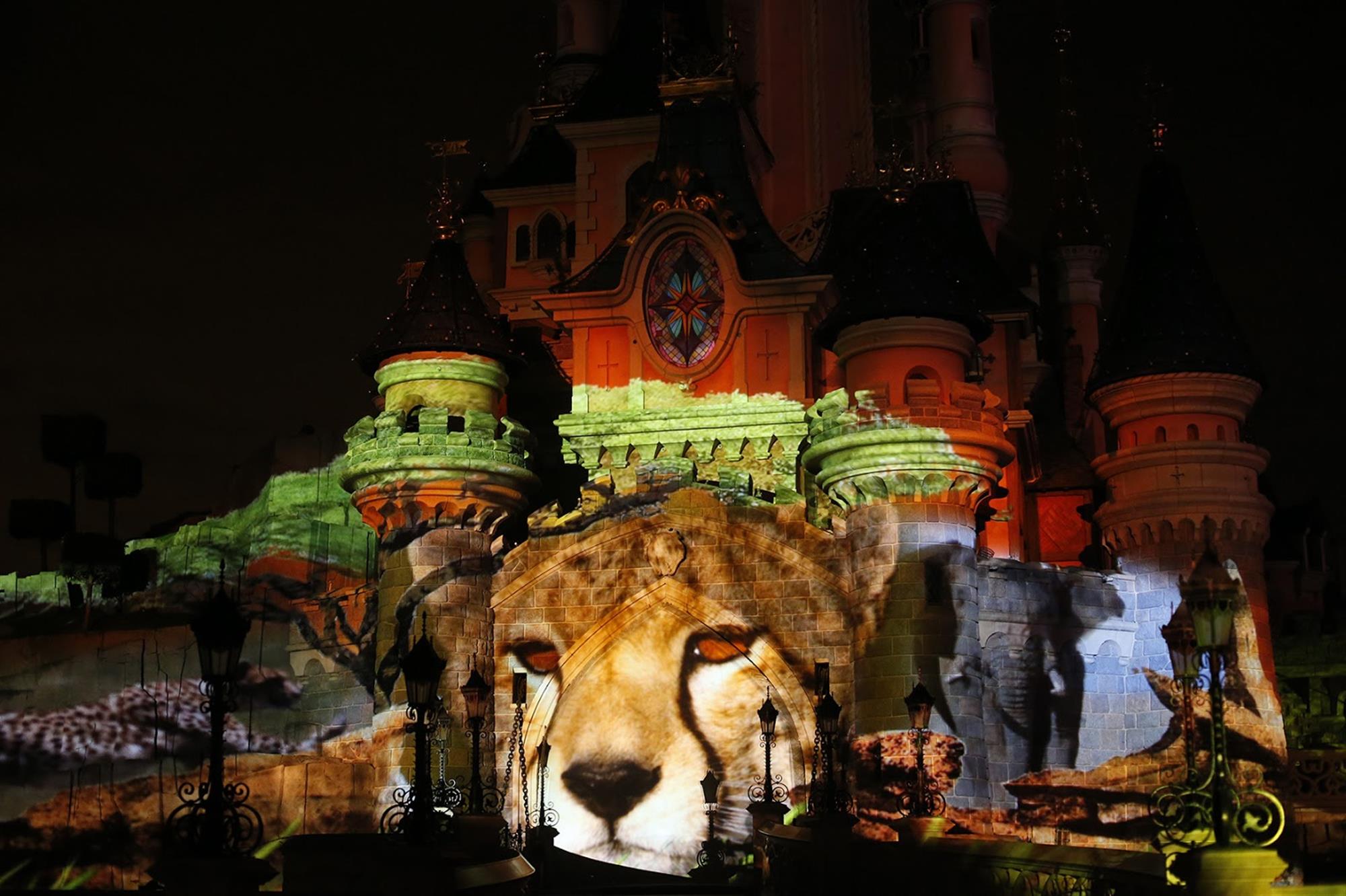 Disneynature Projection Show Returning to Disneyland Paris