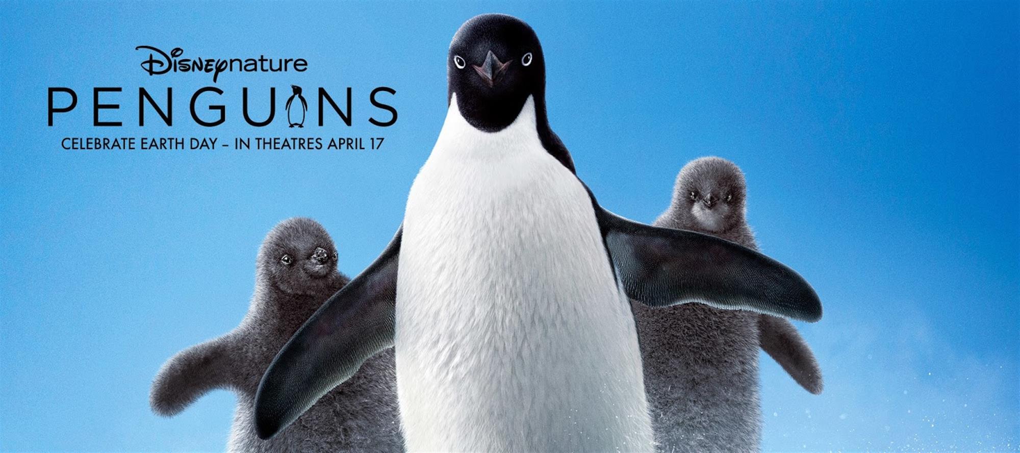 Film Review Disneynature s Penguins Is A Beautiful Fun Informative Film Review Disneynature s Penguins Is A Beautiful Fun Informative