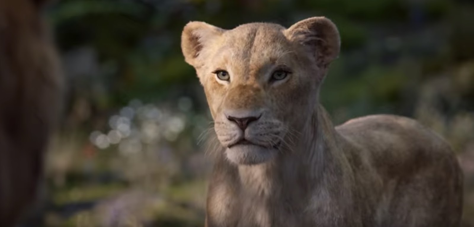 Disney Shares "The Lion King" Sneak Peek Featuring Beyoncé as Nala