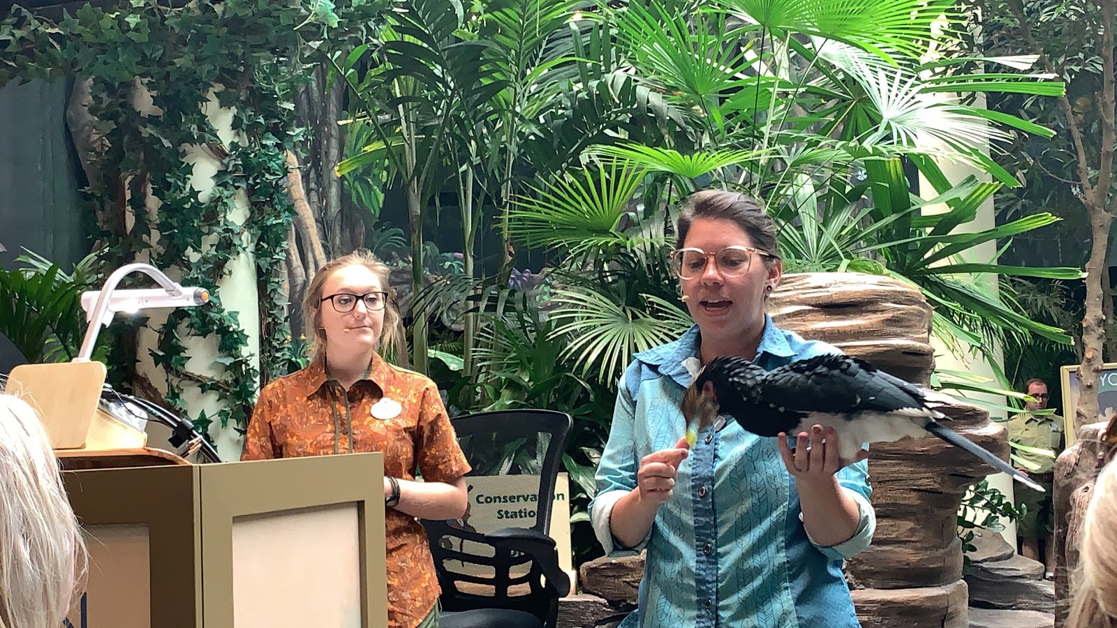 The Animation Experience at Conservation Station Opens at Disney's ...