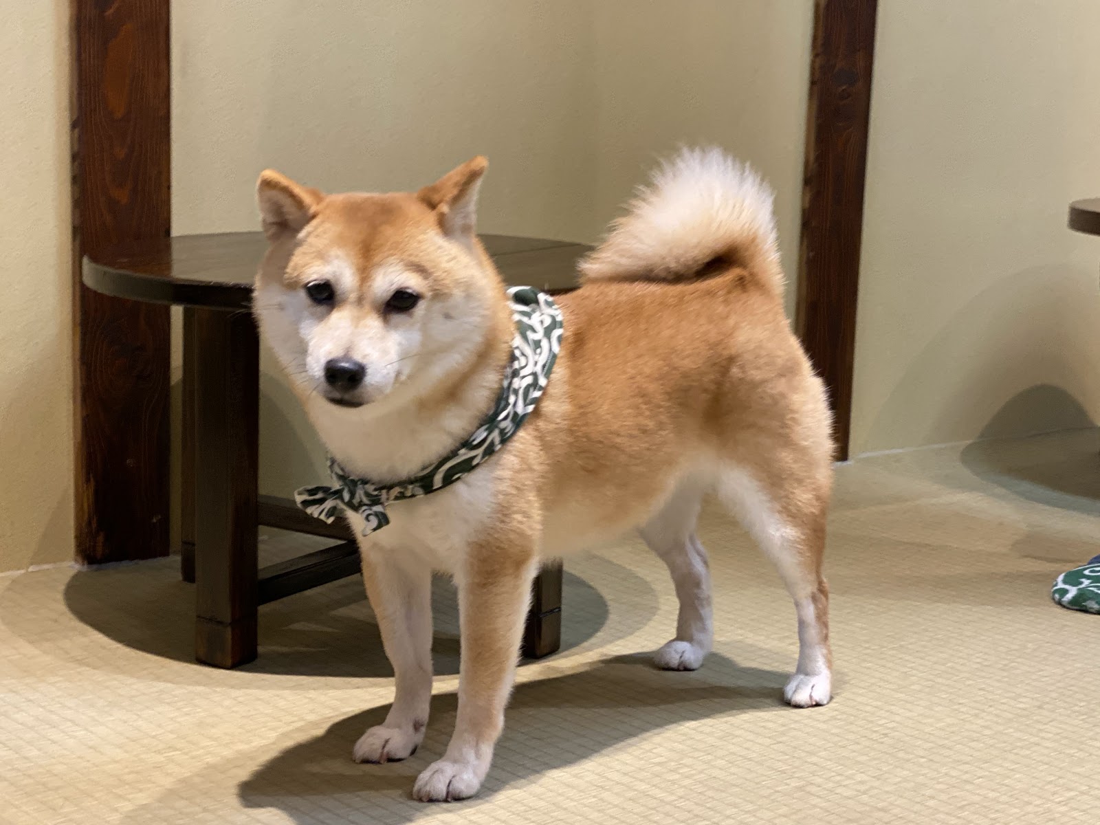 Adventures by Disney Japan Day 1: Konichiwa Kyoto - LaughingPlace.com